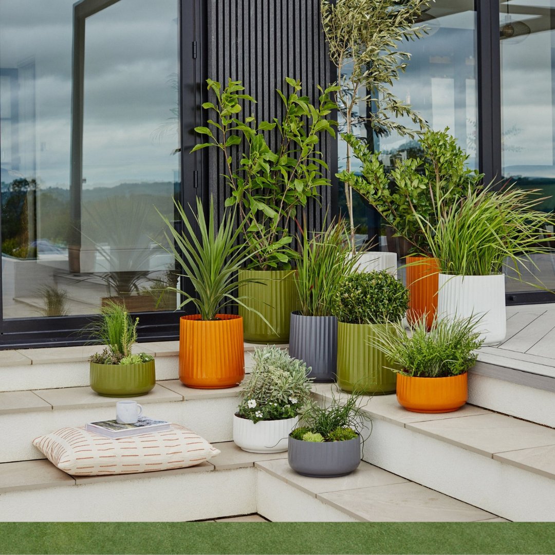 Plant Pots – RAKE Online