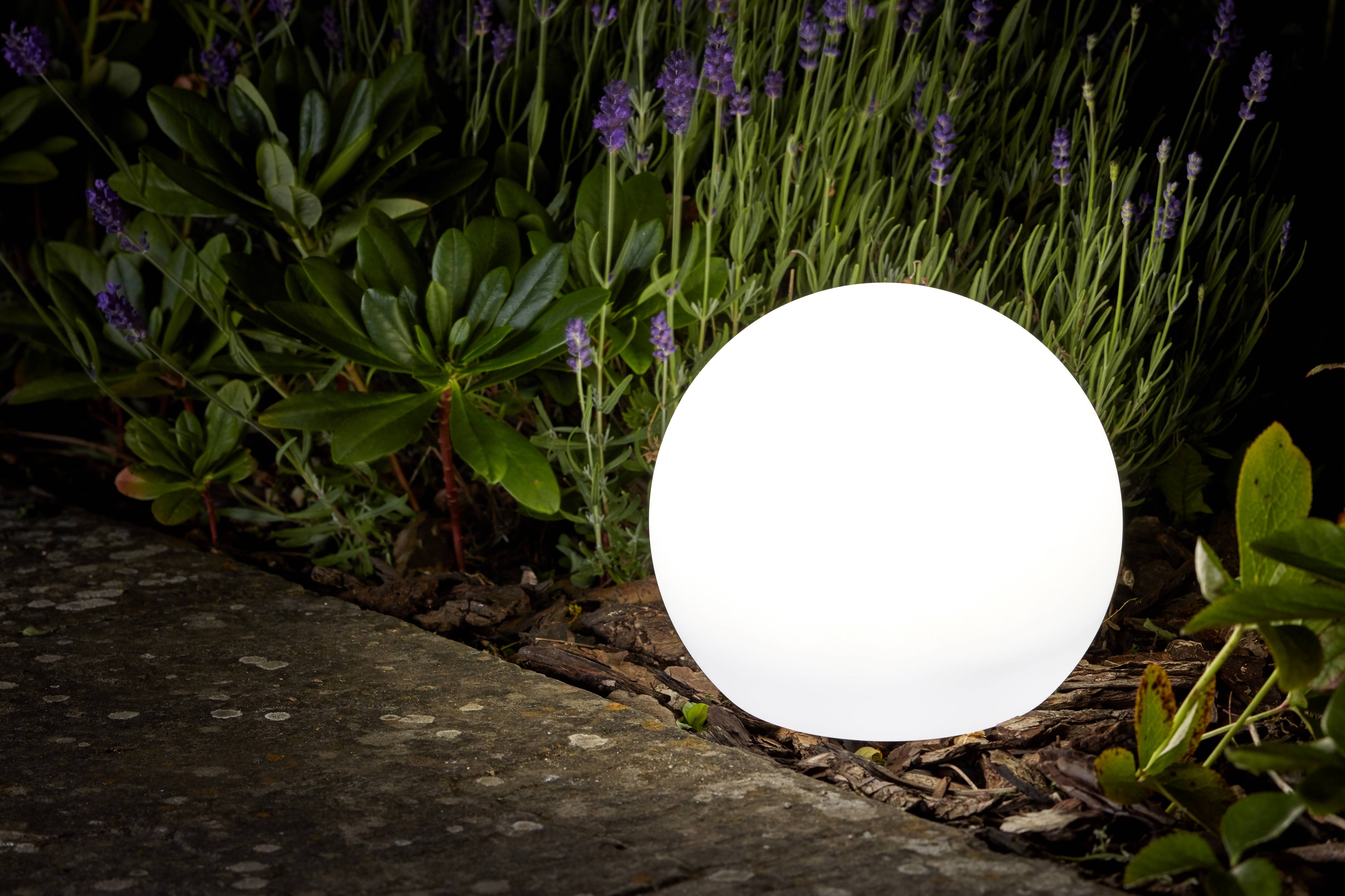 Décor Lighting – RAKE Online